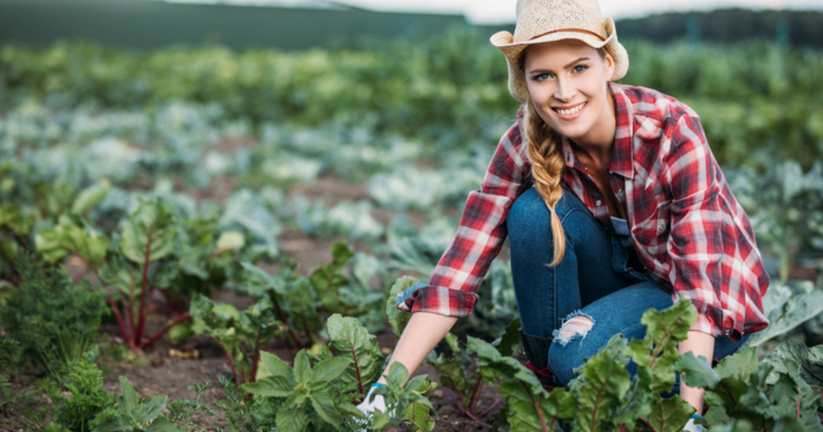 Україна входить до топ-5 постачальників органічної продукції в ЄС - dengi.ua